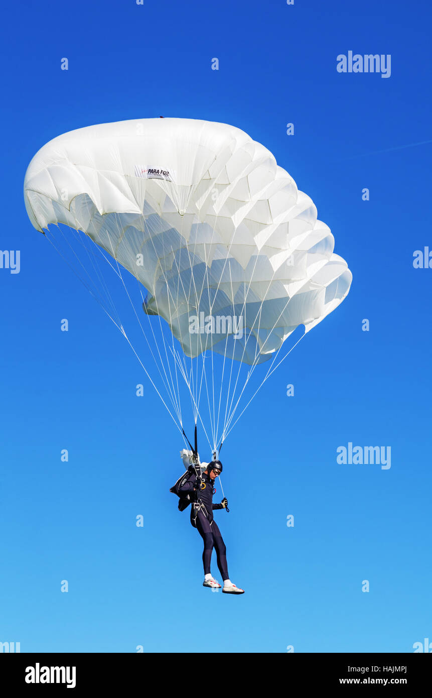 Parachutists - 2015.Flight under the parachute Stock Photo - Alamy