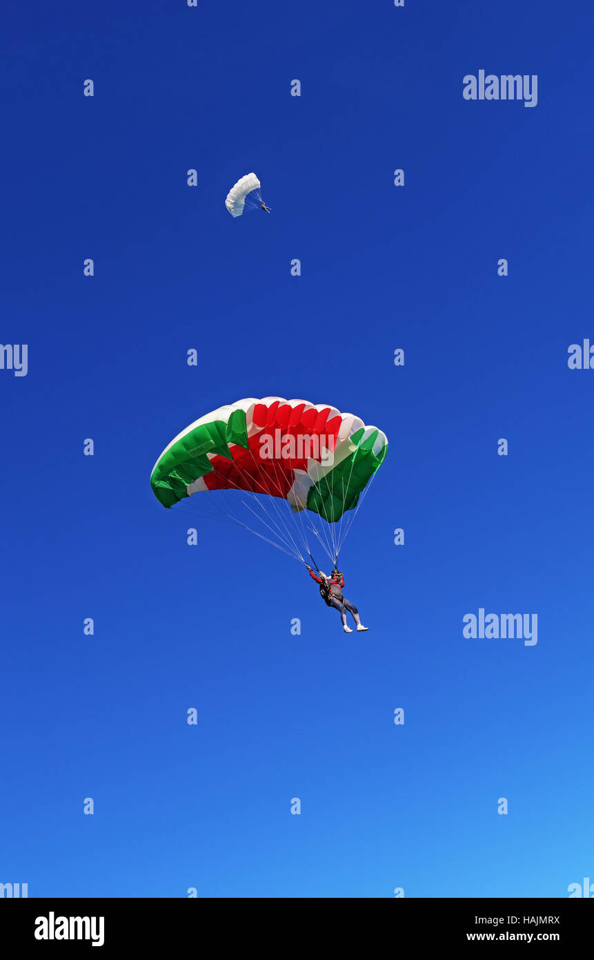 Parachutists - 2015.Flight under the parachute Stock Photo - Alamy