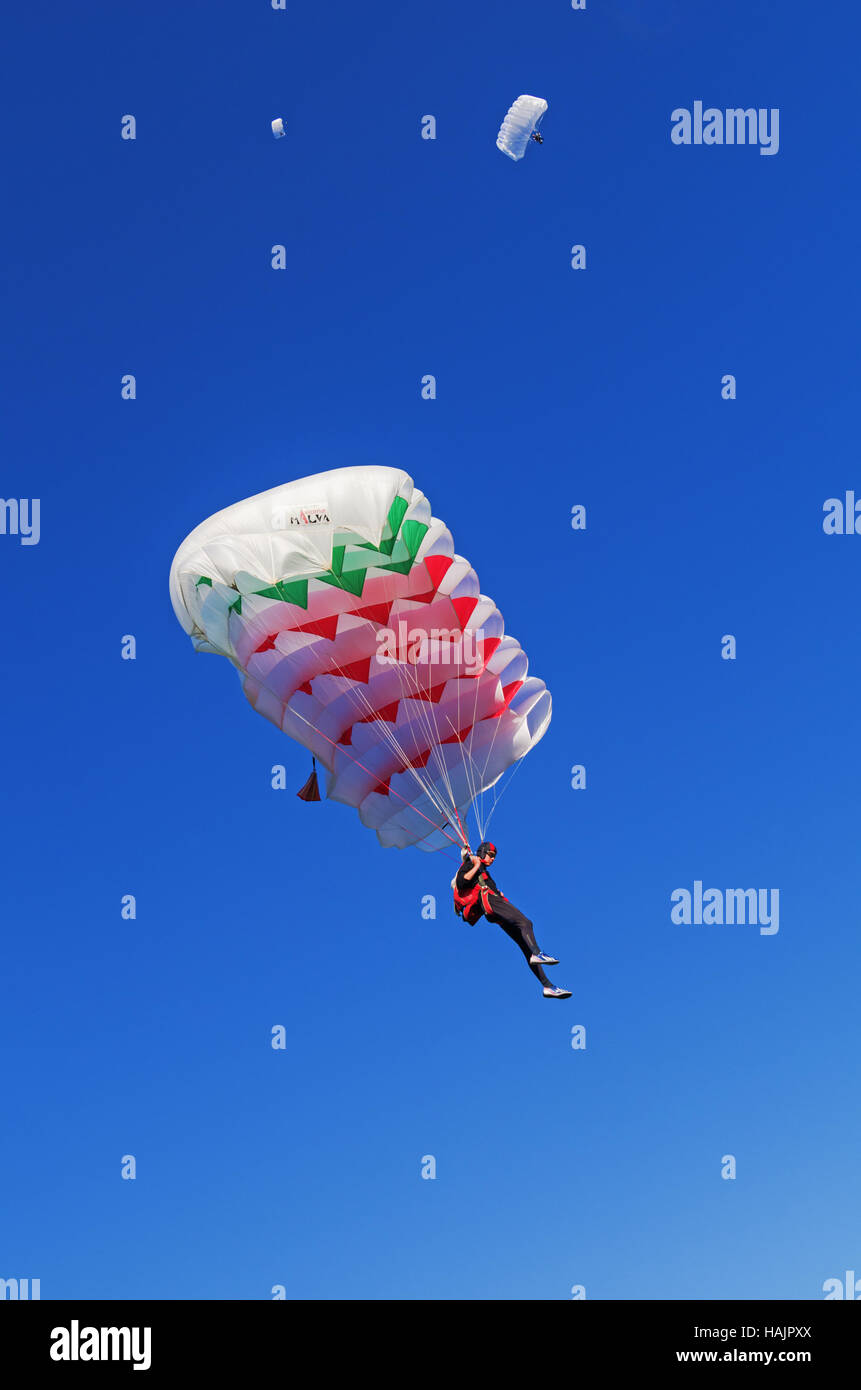 Parachutists - 2015.Flight under the parachute Stock Photo - Alamy