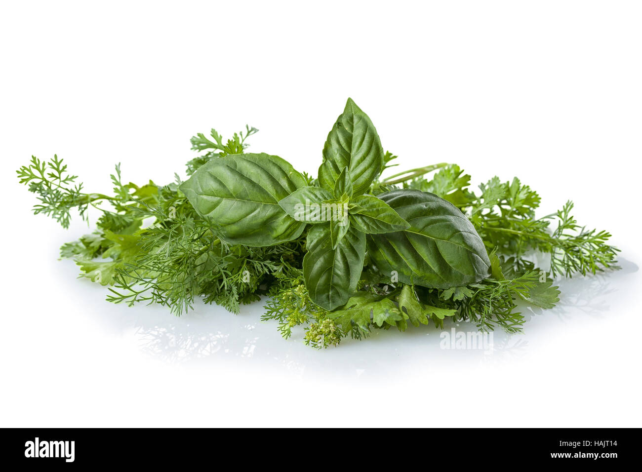 Fresh herbs, basil and coriander leaves Stock Photo - Alamy