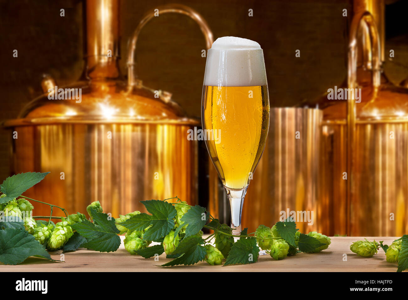 Beer glass with hops and barley in the brewery Stock Photo - Alamy