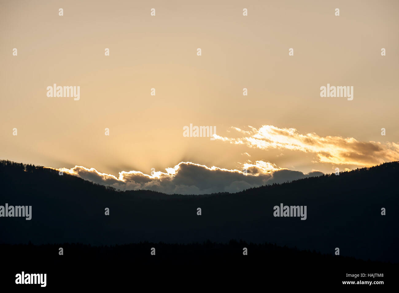 Forest below hi-res stock photography and images - Alamy