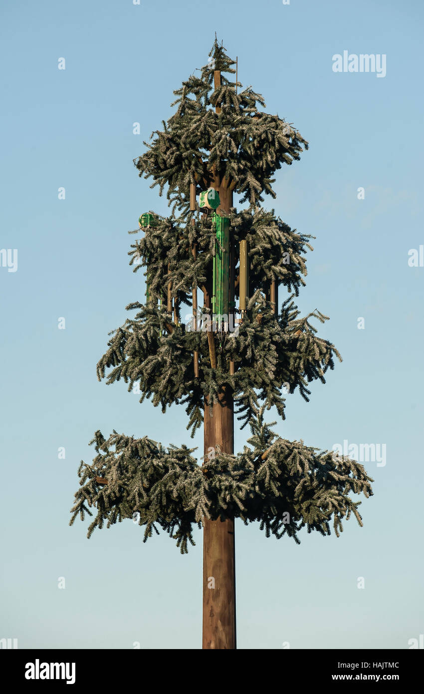 Telecommunication antenna masked into a tree Stock Photo - Alamy
