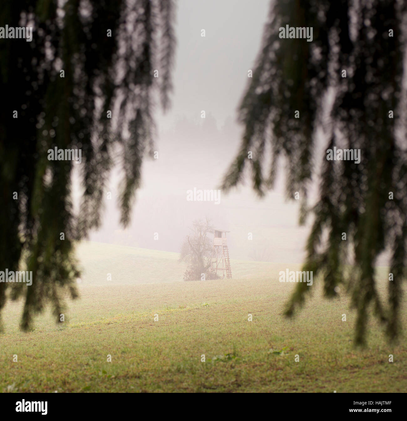 Hunting lodge interior hi-res stock photography and images - Alamy