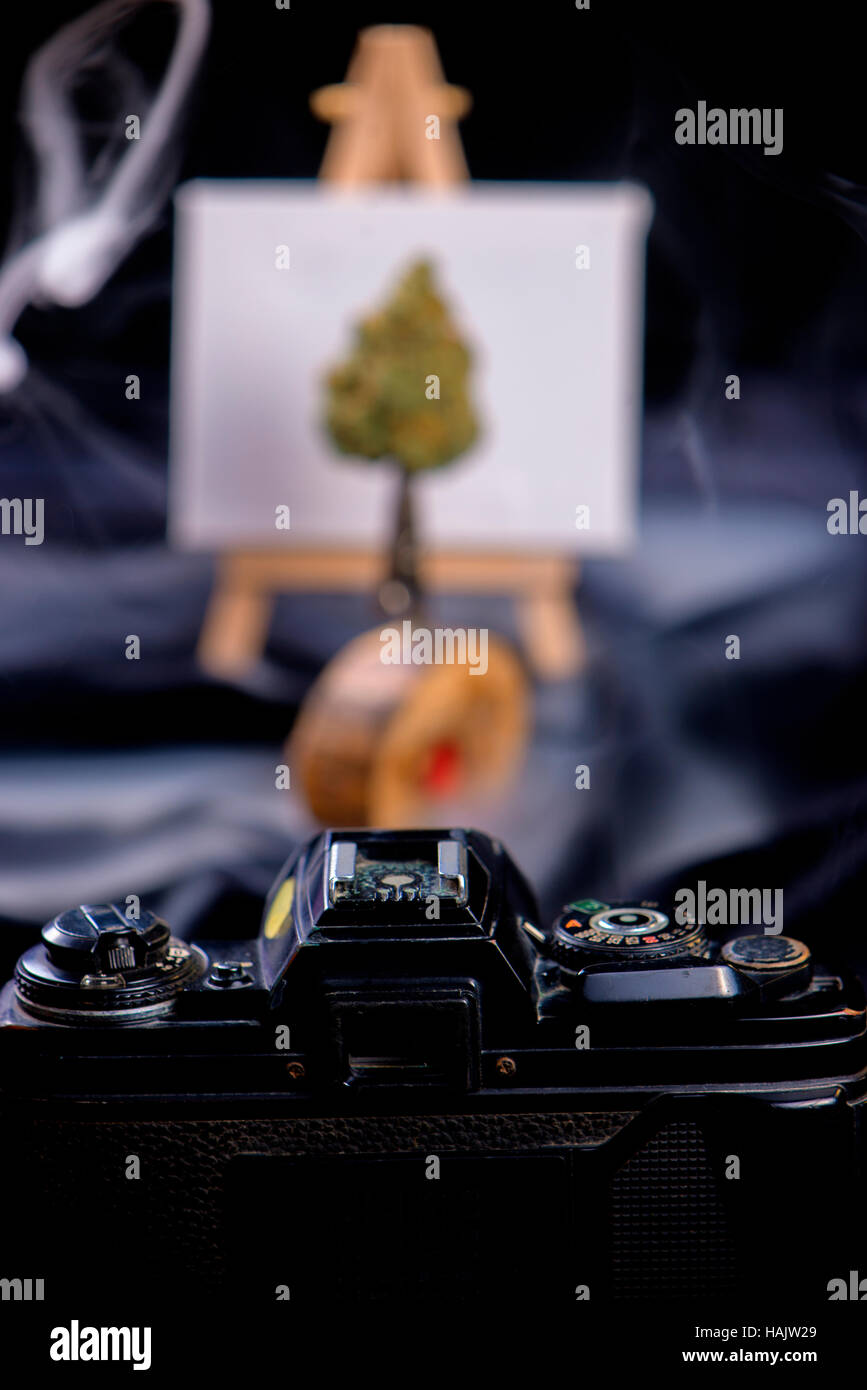 Camera marijuana hi-res stock photography and images - Alamy