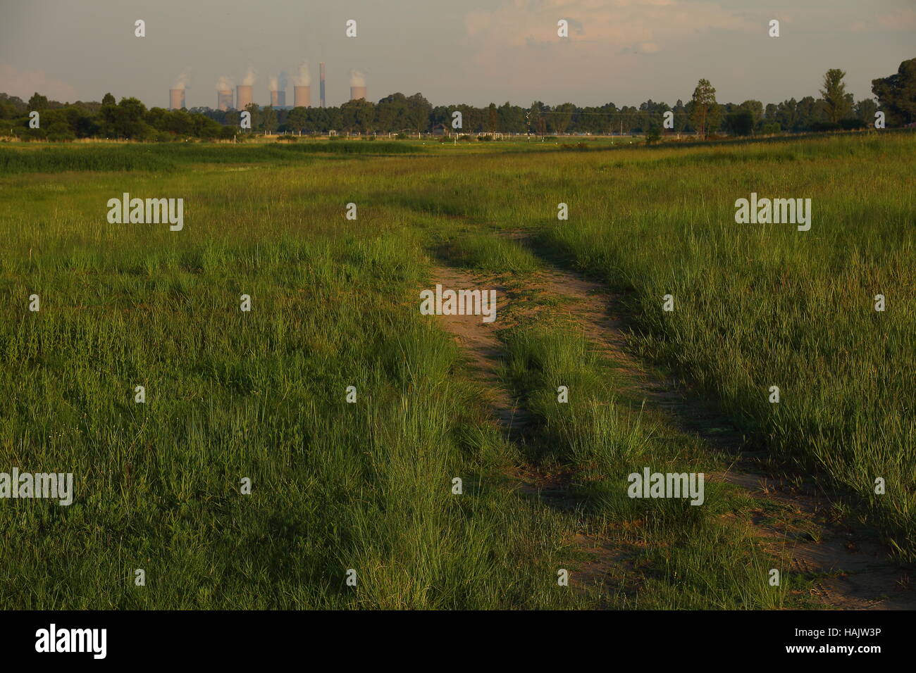 A fossil fuel power station spews out air pollution over the green ...