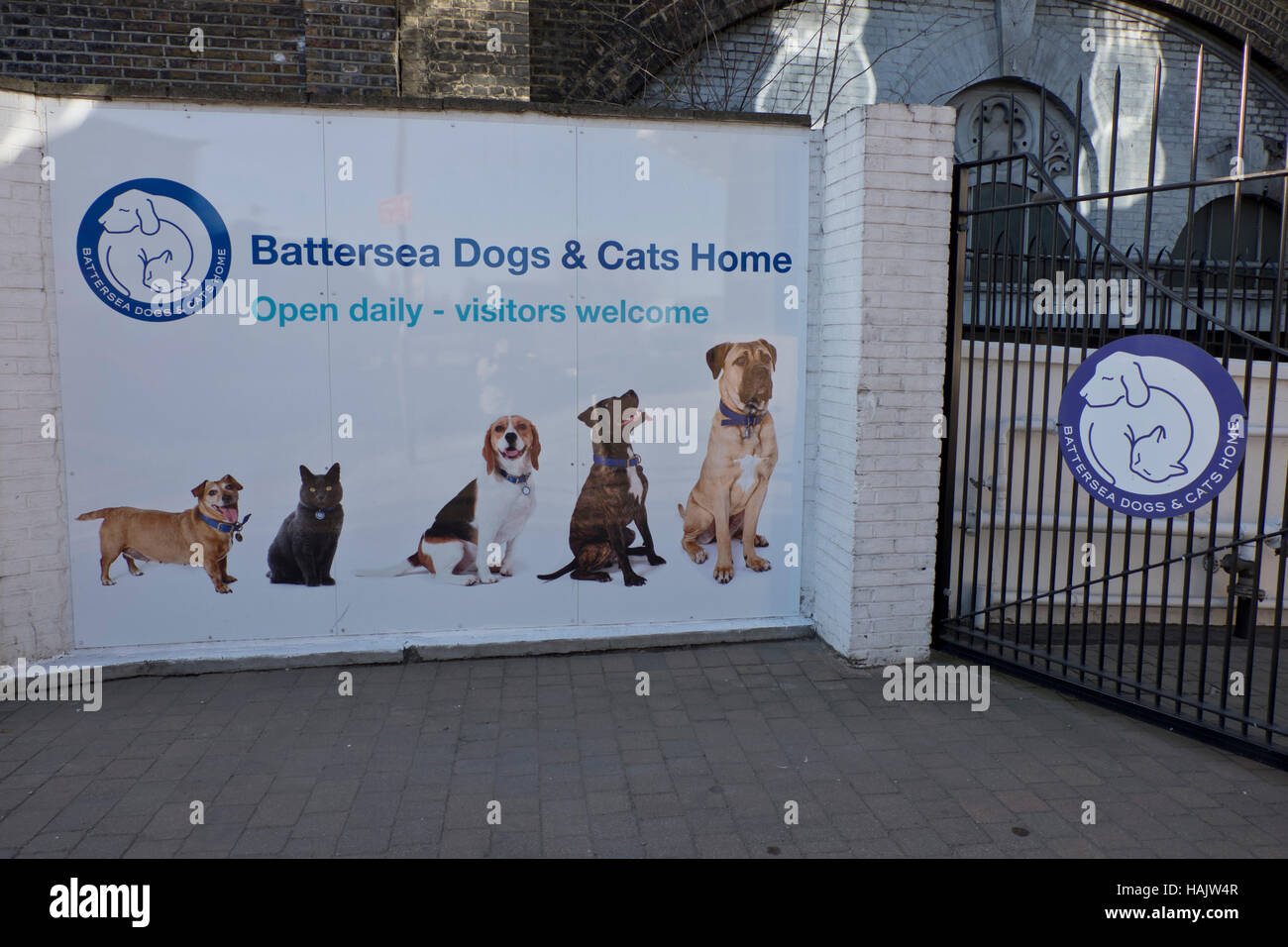 Battersea cats and dogs hi-res stock photography and images - Alamy