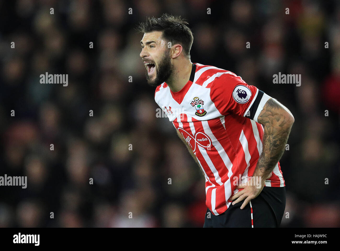 Southampton's Charlie Austin Stock Photo - Alamy