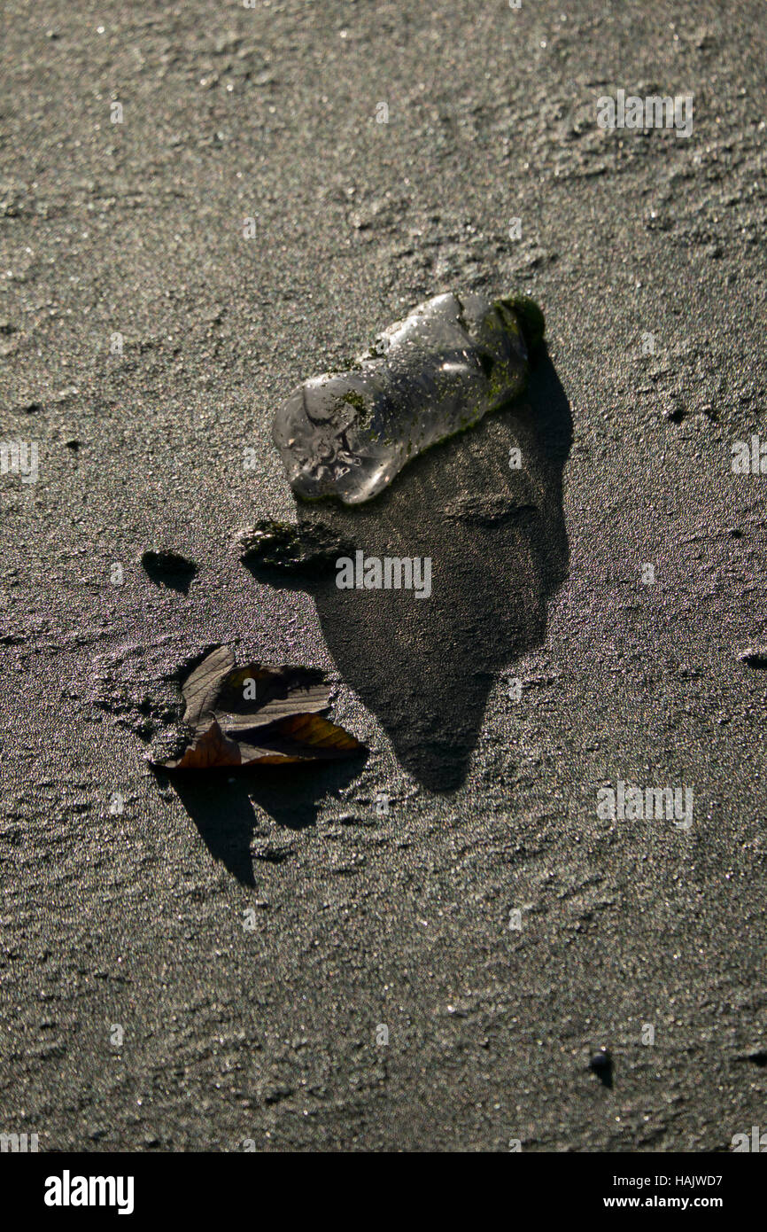 Flotsam and pollution on Regent's canal,London,UK Stock Photo - Alamy