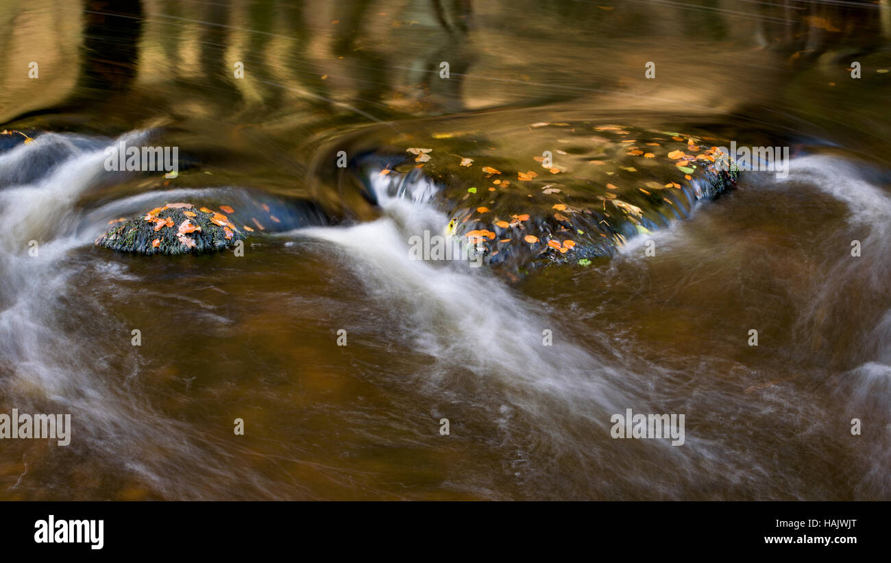 Autumn leaves on rocks in the river Teign, Dartmoor, UK Stock Photo - Alamy
