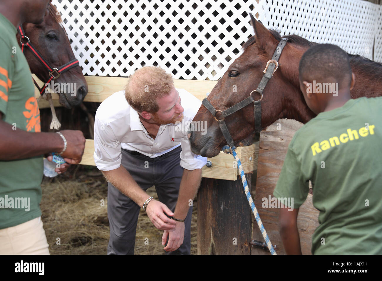 Prince Harry pets a horse at 'Nature Fun Ranch', which allows young ...