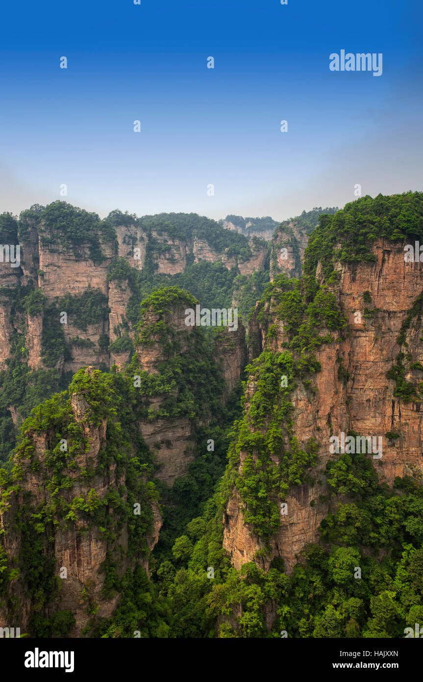 The dramatic mountain landscape in the Zhangjiajie national forest park ...