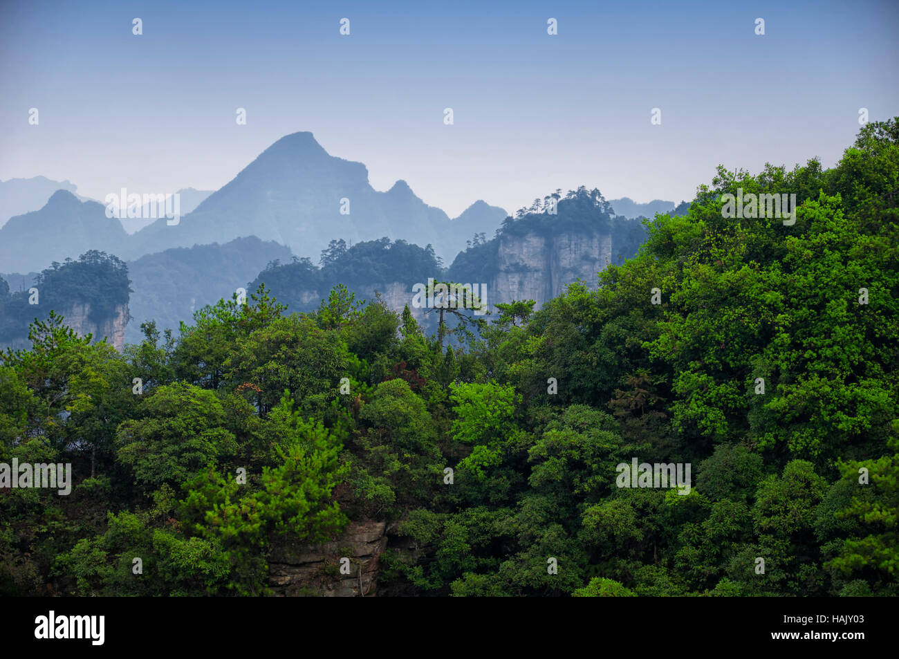 The dramatic mountain landscape in the Zhangjiajie national forest park ...