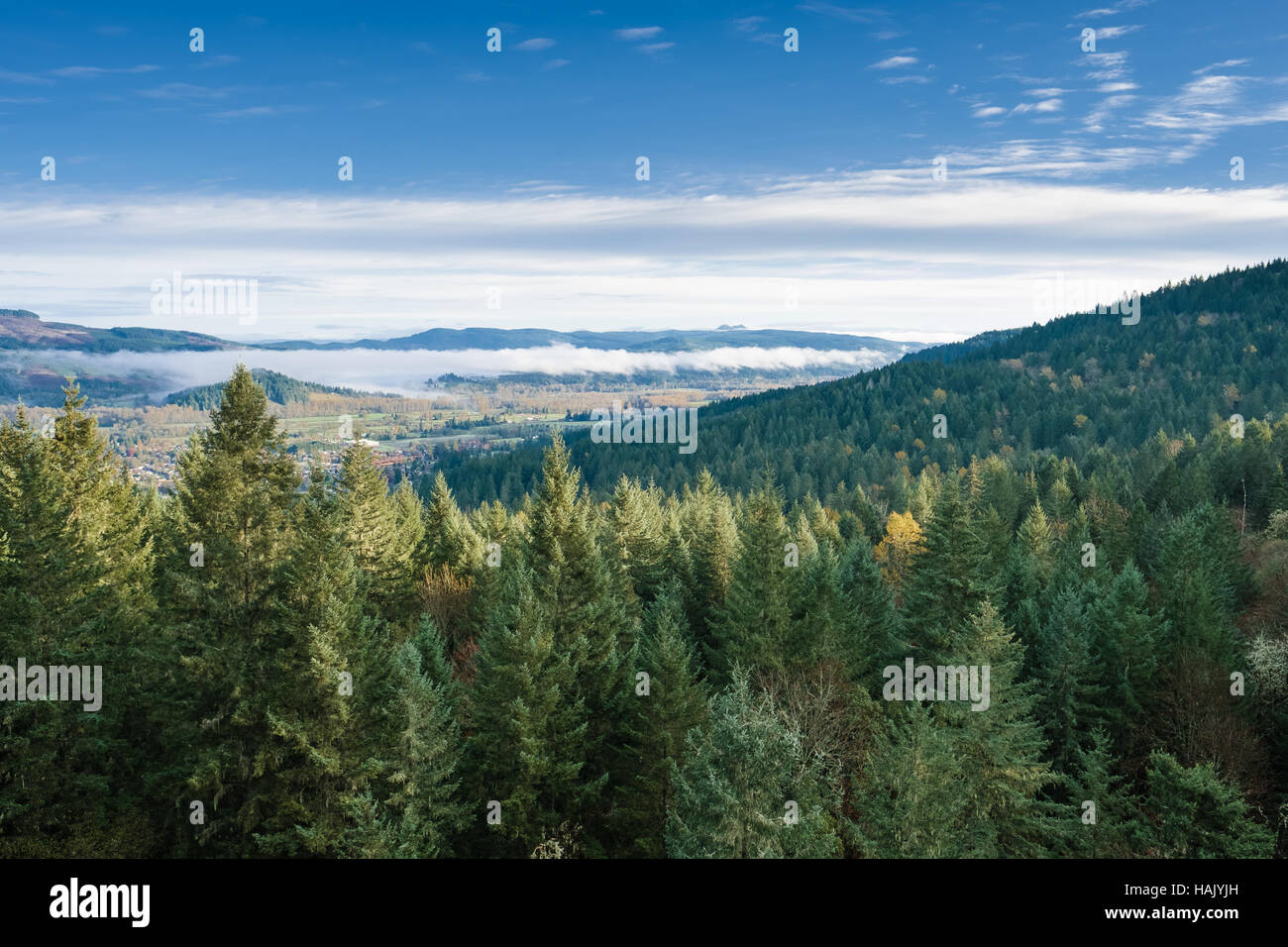 Thurston Hills Natural Area in Springfield Oregon offers great views ...