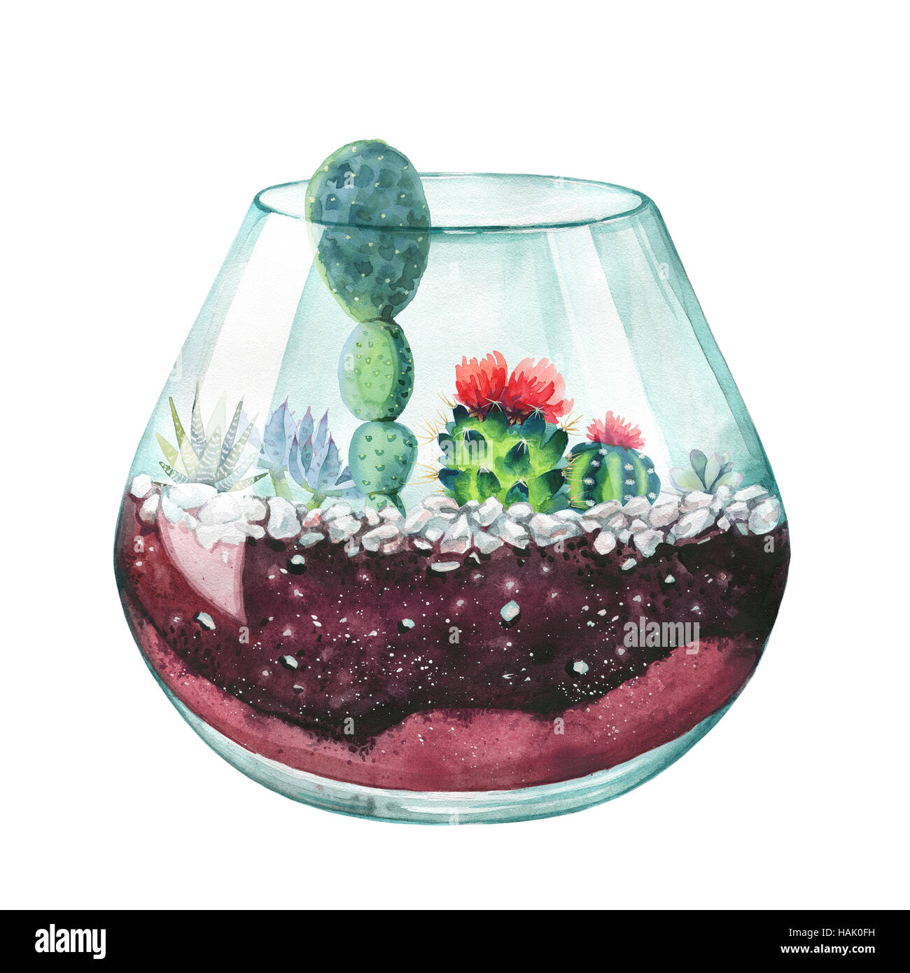 Terrarium Art High Resolution Stock Photography and Images - Alamy