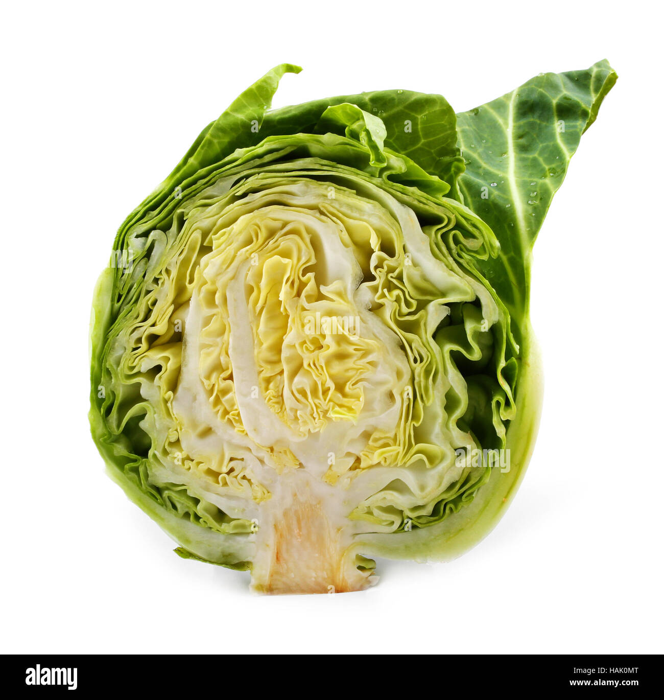 cabbage isolated on white background Stock Photo - Alamy
