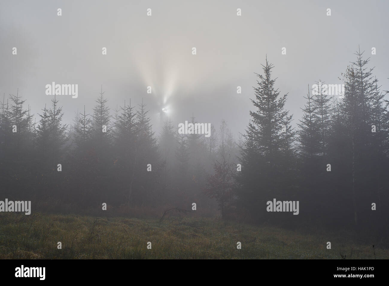 Sun rising hi-res stock photography and images - Alamy