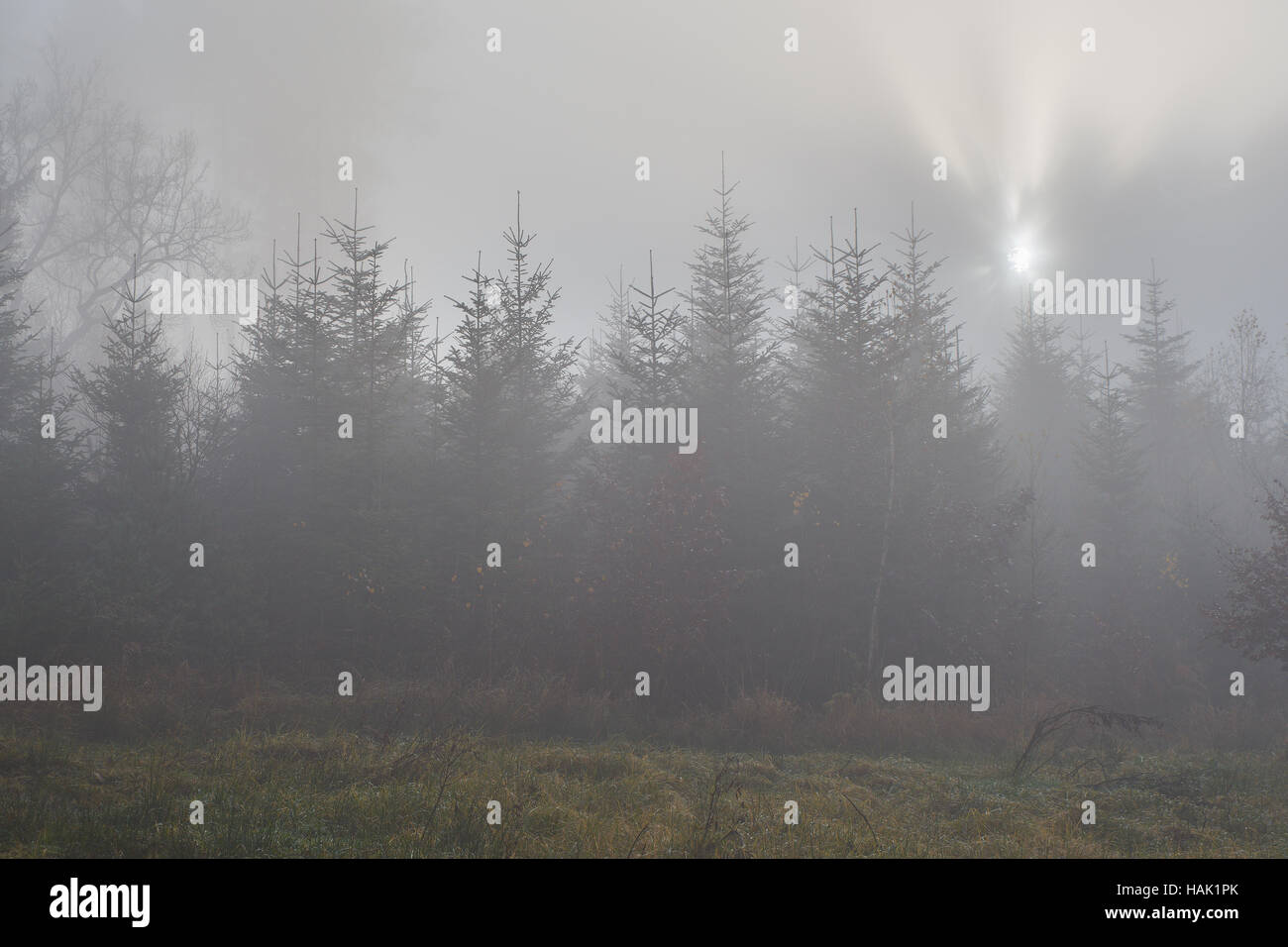 Sun rising hi-res stock photography and images - Alamy