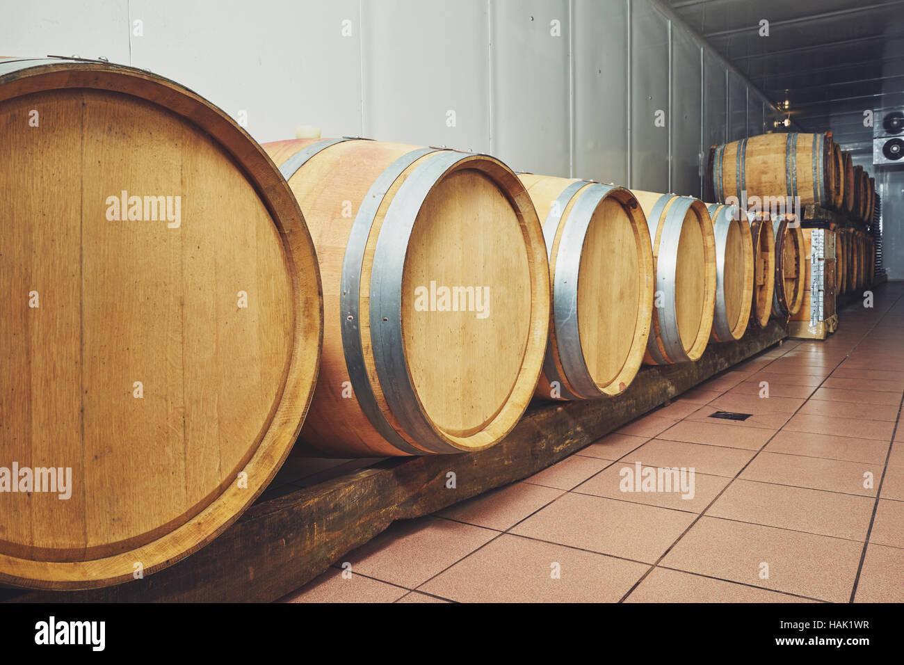 Wine cellar with barrels Stock Photo - Alamy