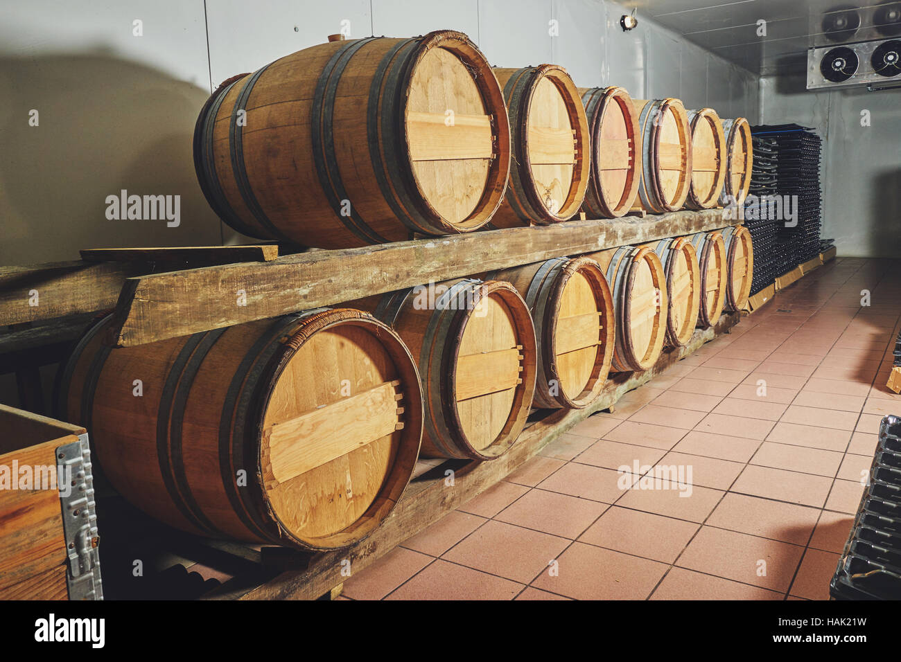 Wine cellar with barrels Stock Photo - Alamy