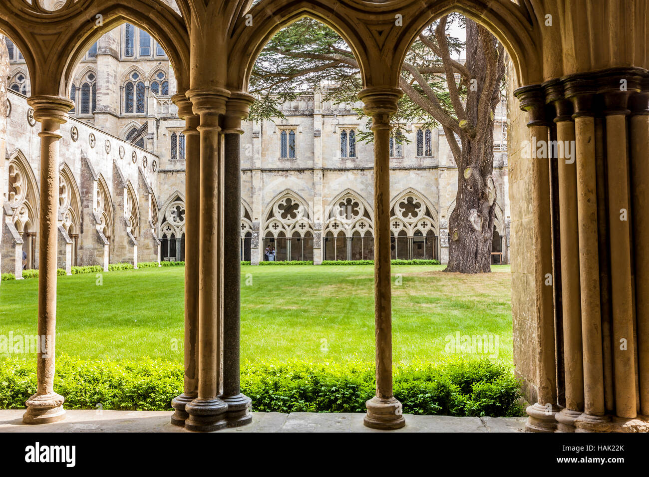 Salisbury Cathedral Chapter House Frieze