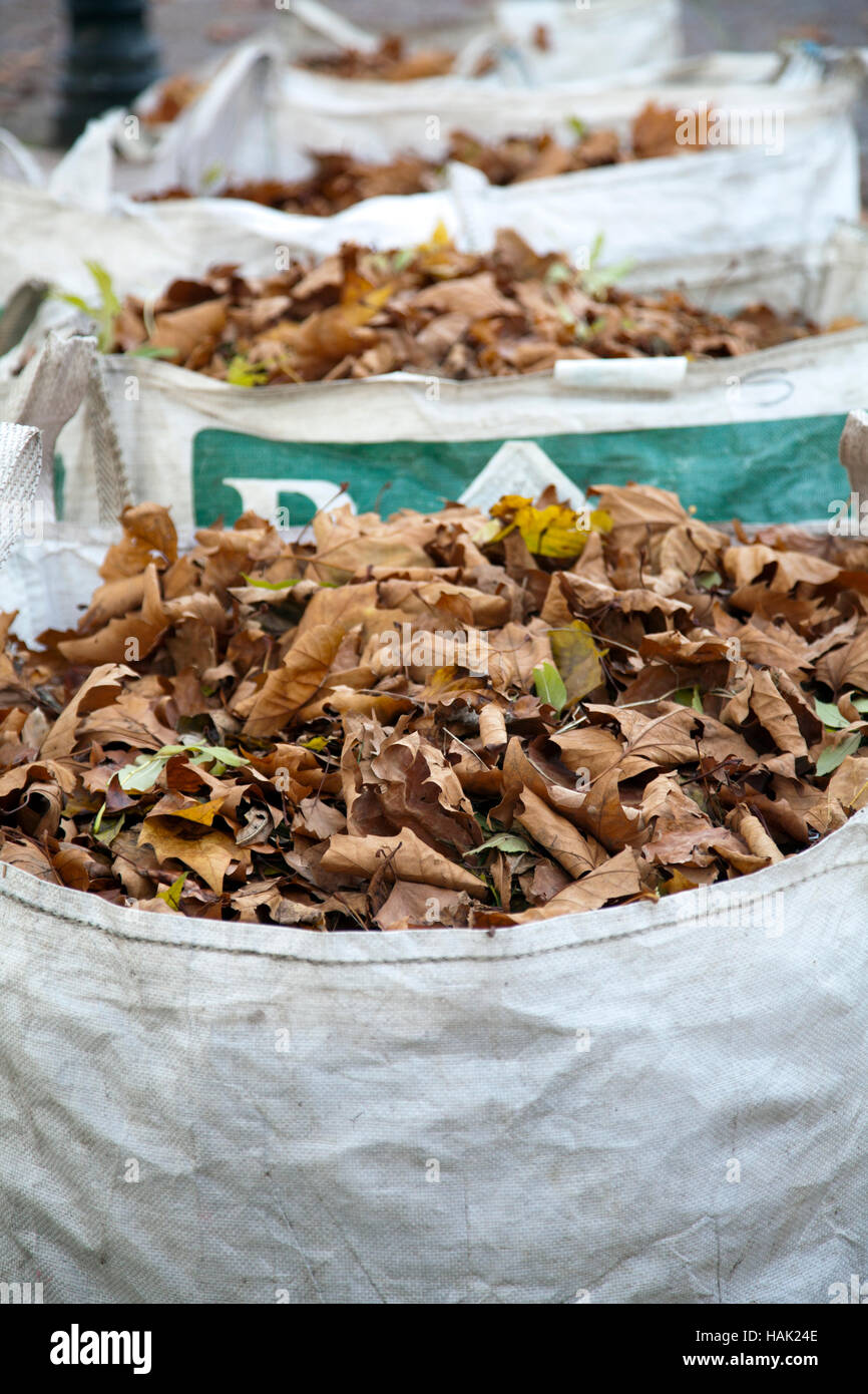 Bagged leaves hi-res stock photography and images - Alamy