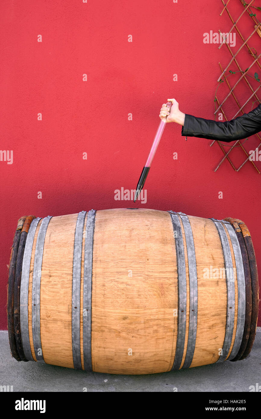 Winemaker getting sample of red wine from barrel Stock Photo - Alamy Winemaker getting sample of red wine from barrel Stock Photo - Alamy