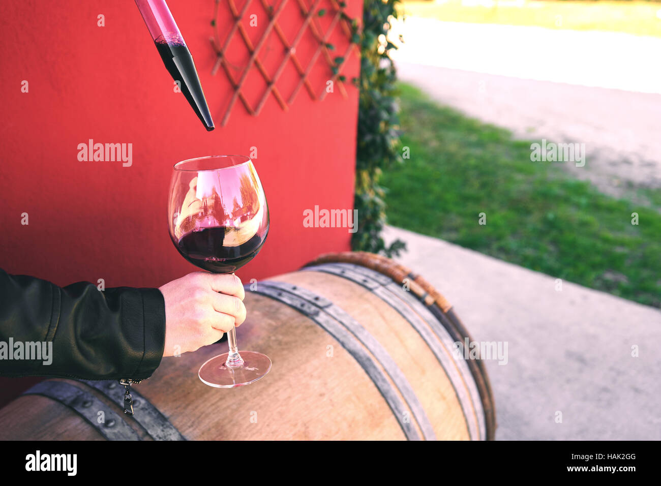 Winemaker getting sample of red wine from barrel Stock Photo - Alamy