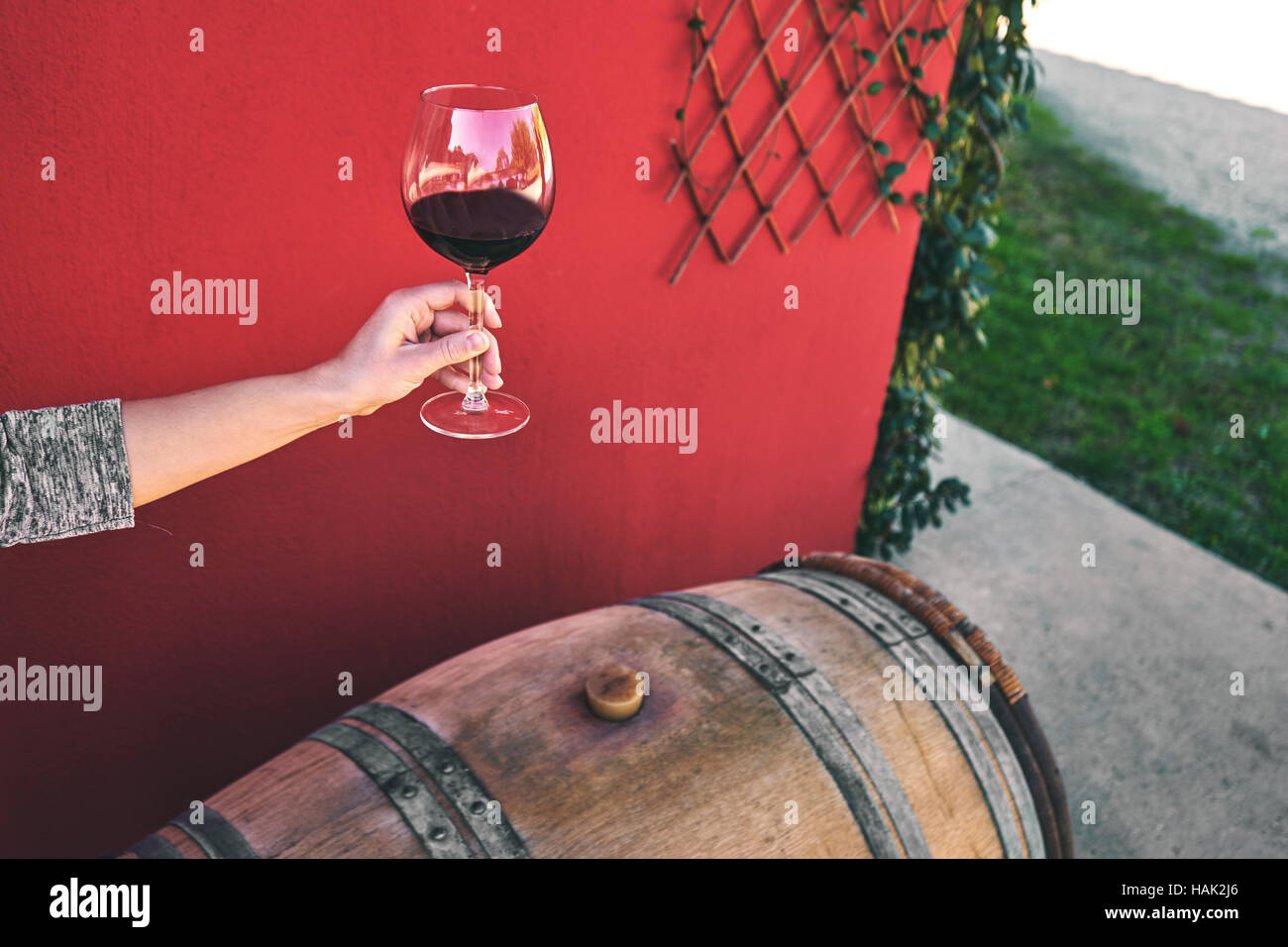 Winemaker getting sample of red wine from barrel Stock Photo - Alamy Winemaker getting sample of red wine from barrel Stock Photo - Alamy