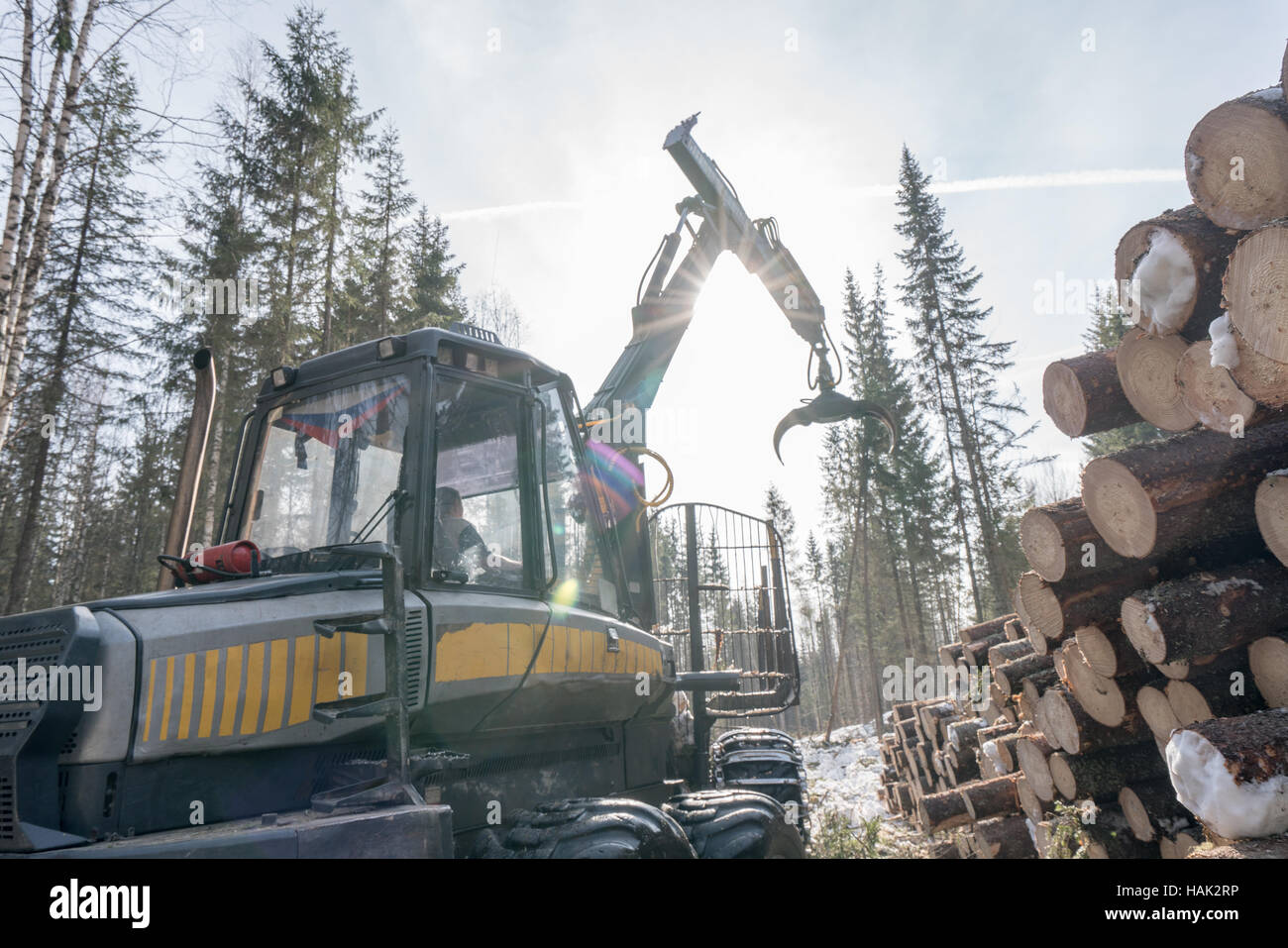 Logger hi-res stock photography and images - Alamy
