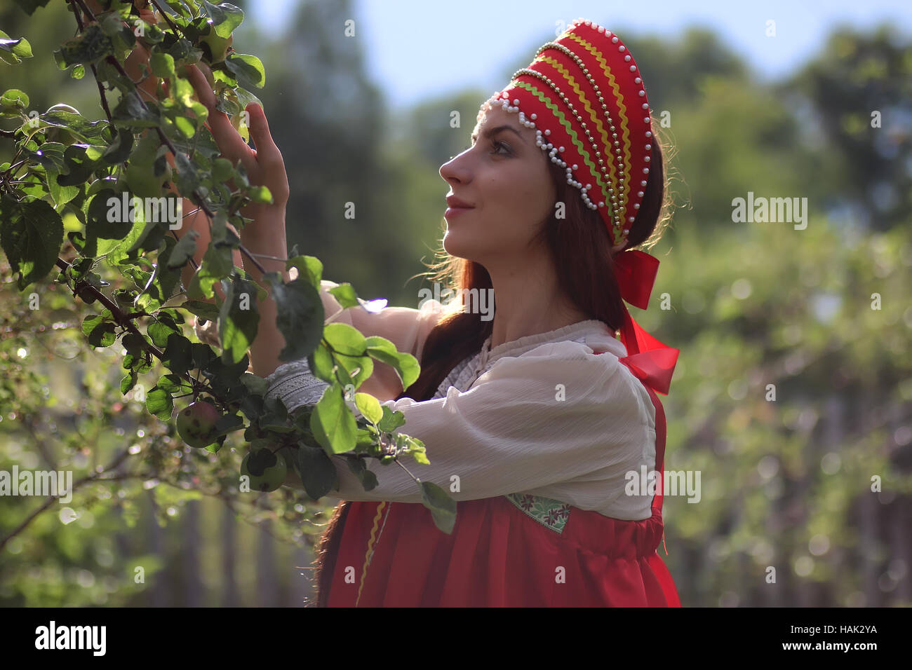Slav in traditional dress collects the harvest of apples Stock Photo ...
