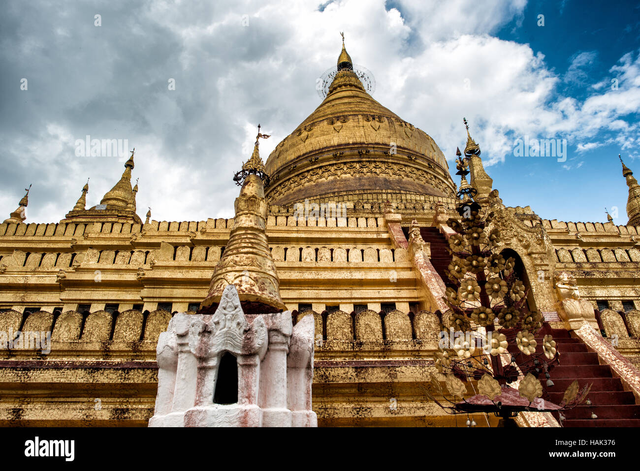 Buddha bone hi-res stock photography and images - Alamy