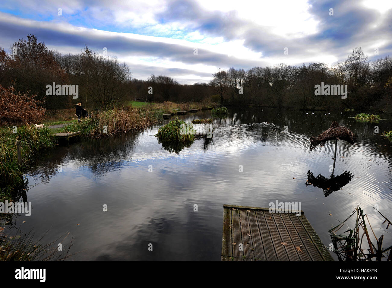 River Irwell flowing through Burrs Country Park, Bury, Lancashire ...