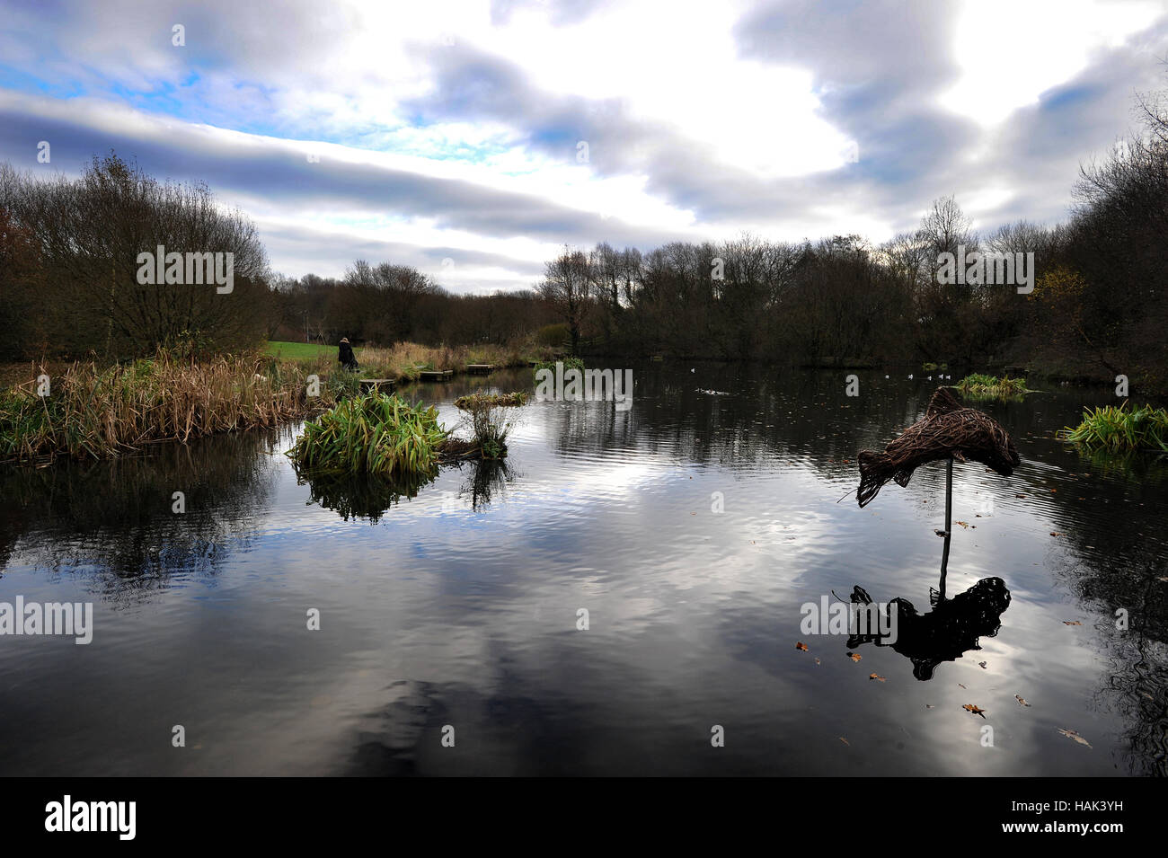 River Irwell flowing through Burrs Country Park, Bury, Lancashire ...