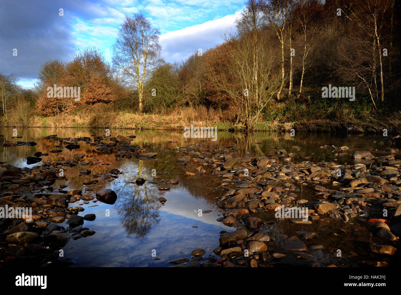River Irwell flowing through Burrs Country Park, Bury, Lancashire ...