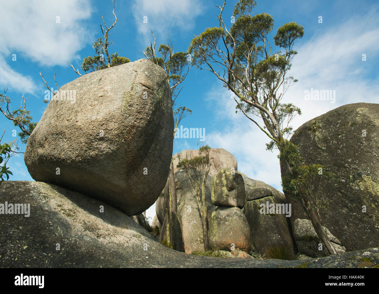 Western australia park hi-res stock photography and images - Alamy