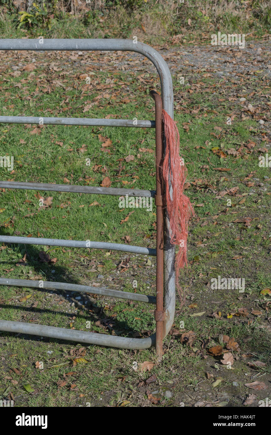 Steel farm gate open hi-res stock photography and images - Alamy