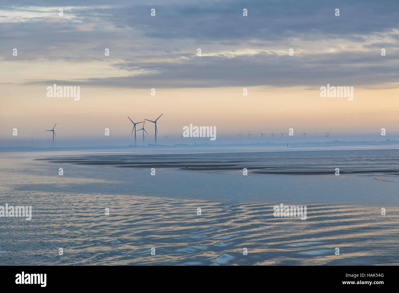 Wind energy park at the German north sea coast, near Neuharlingersiel ...