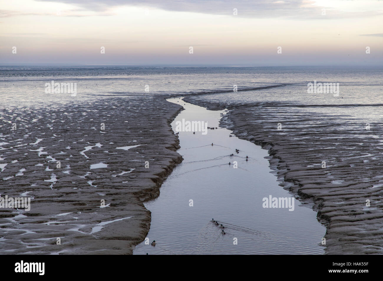 North sea tideland hi-res stock photography and images - Alamy