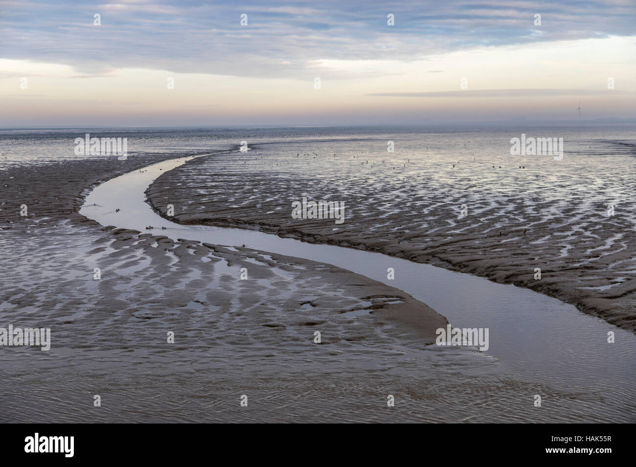 Tideland north sea hi-res stock photography and images - Alamy