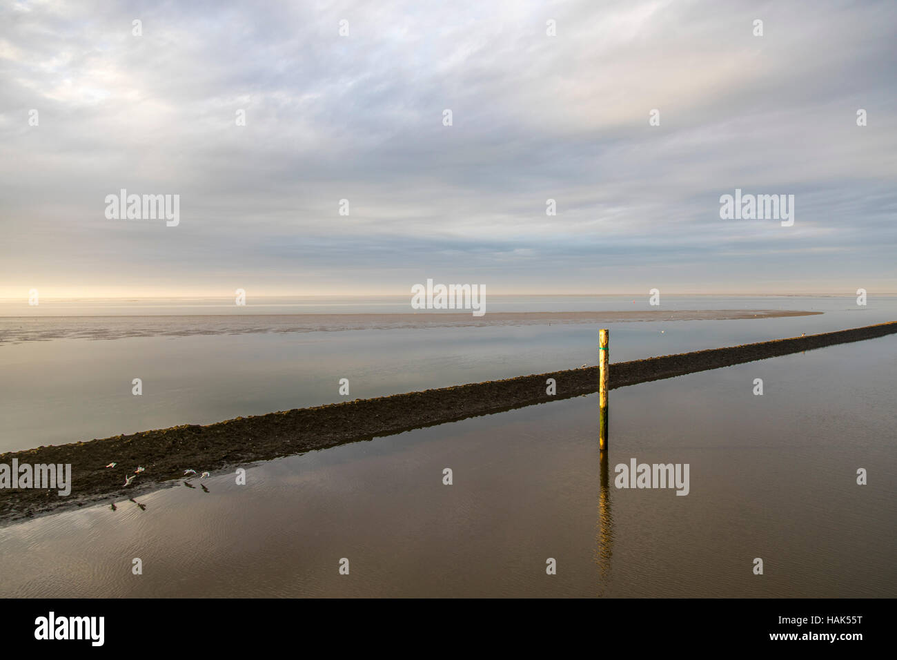 Tideland, mudflats, Wadden sea, German North sea coast, between the ...