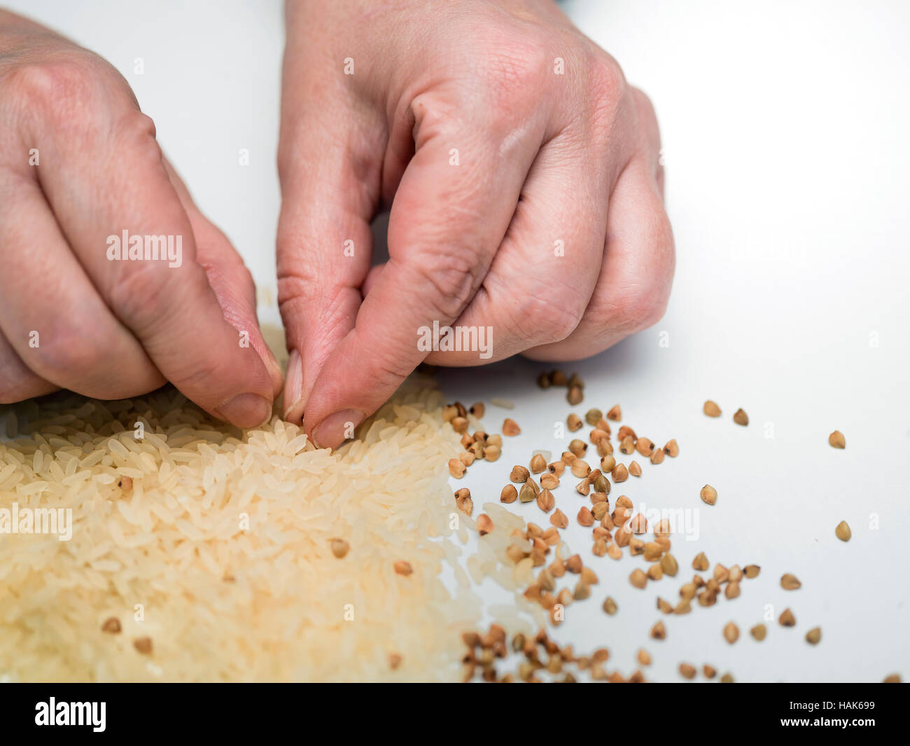 Hands Sorting Rice Stock Photo - Alamy