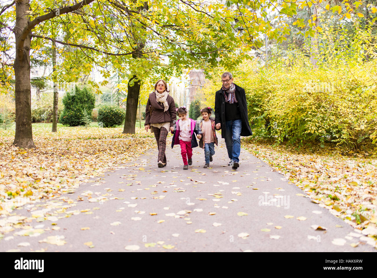 Happy grandparents walking with grandchildren in the autumn park Stock ...