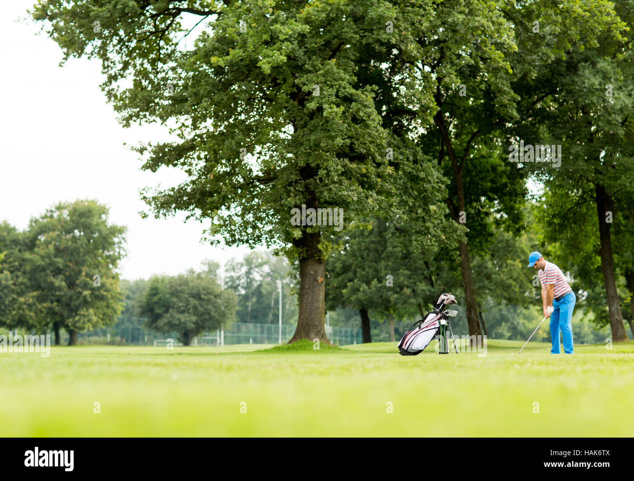 Man playing golf on course hi-res stock photography and images - Alamy