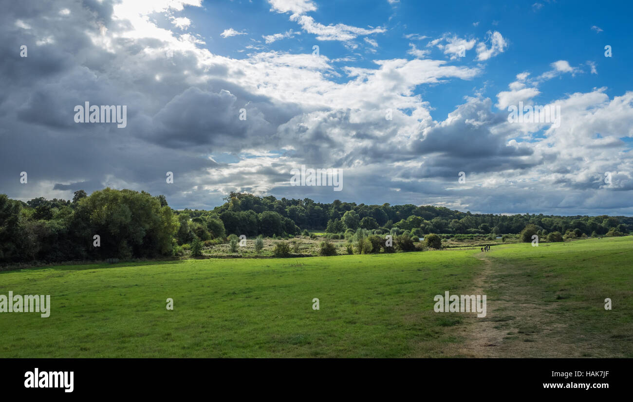 Landscape of nature reserve Stock Photo - Alamy