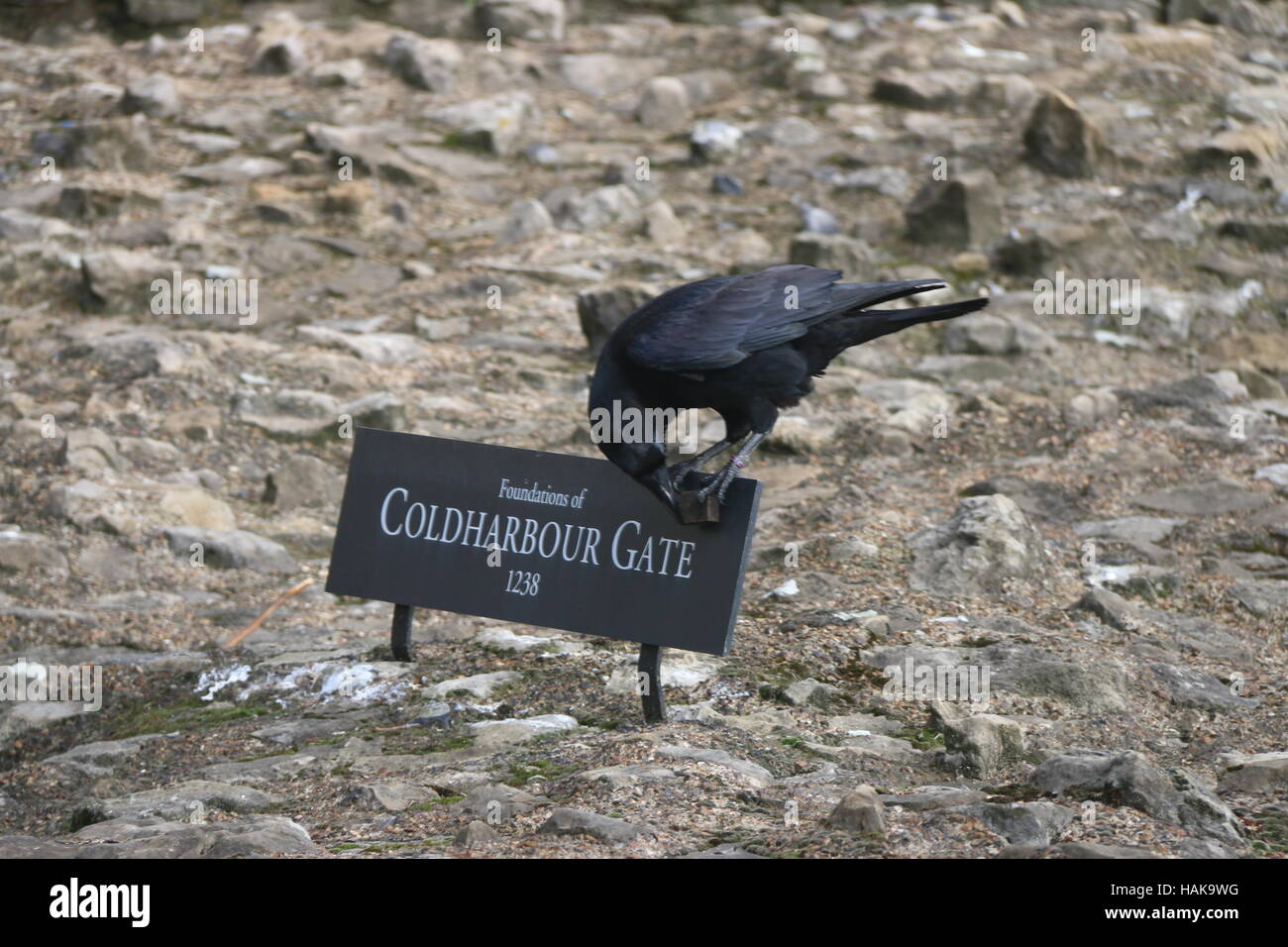 Coldharbour gate hi-res stock photography and images - Alamy