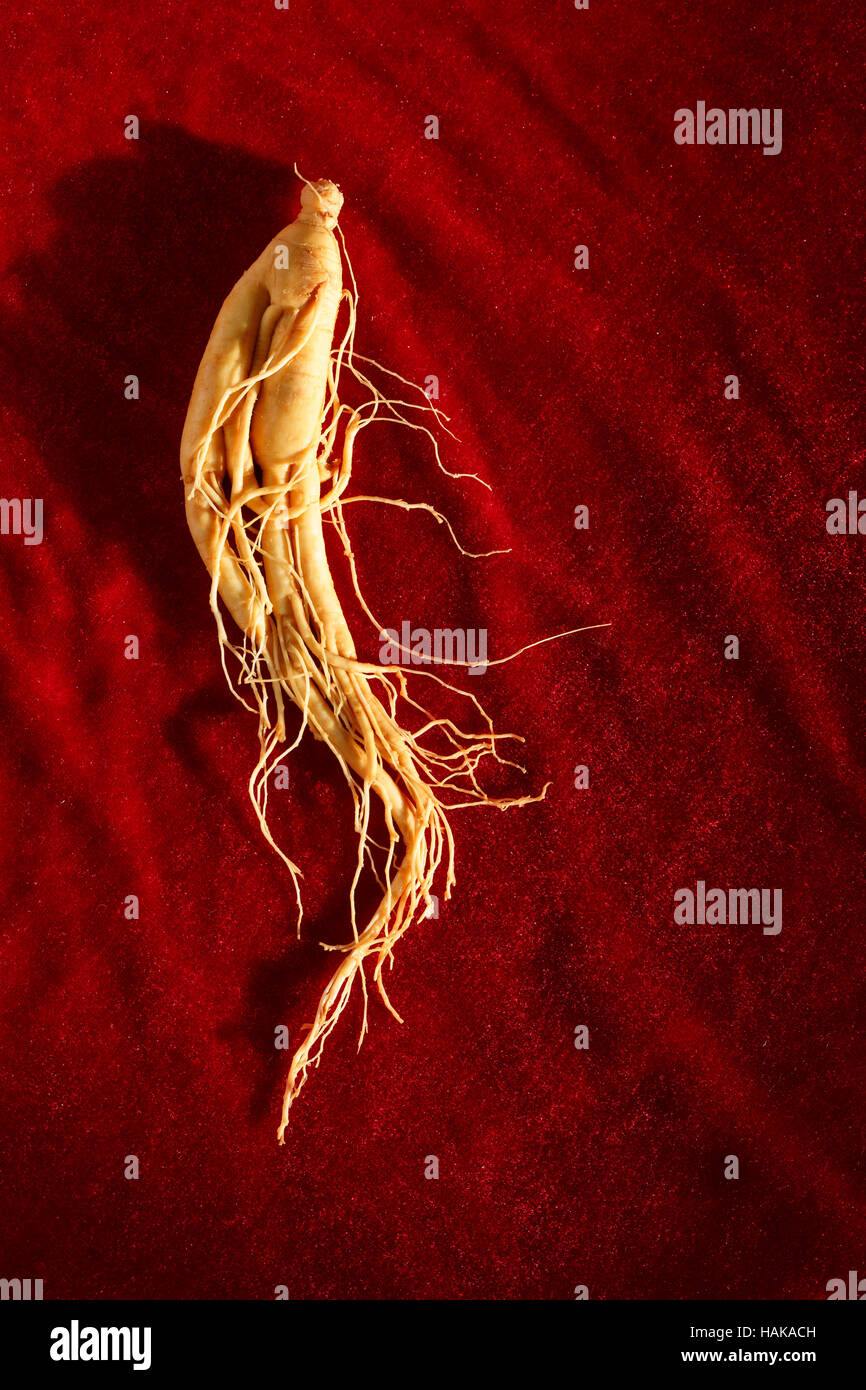 Chinese medicinal herbs, ginseng Stock Photo - Alamy