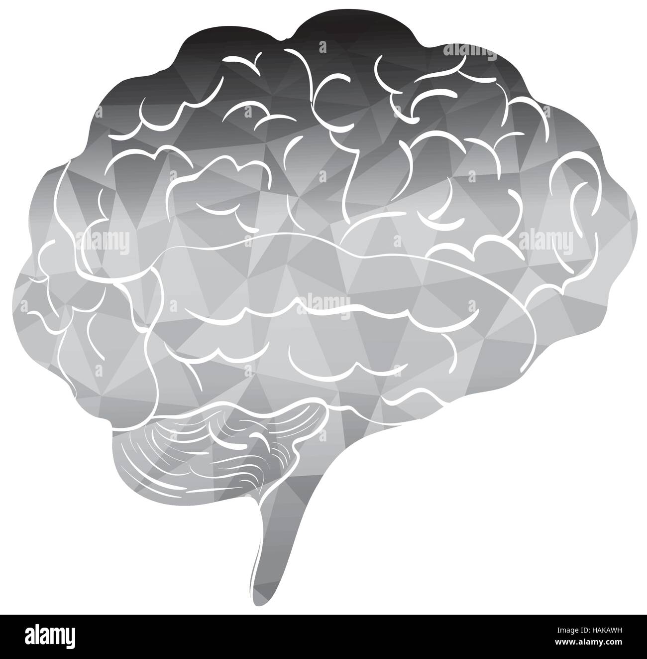 Human brain mind icon vector illustration graphic design Stock Vector ...