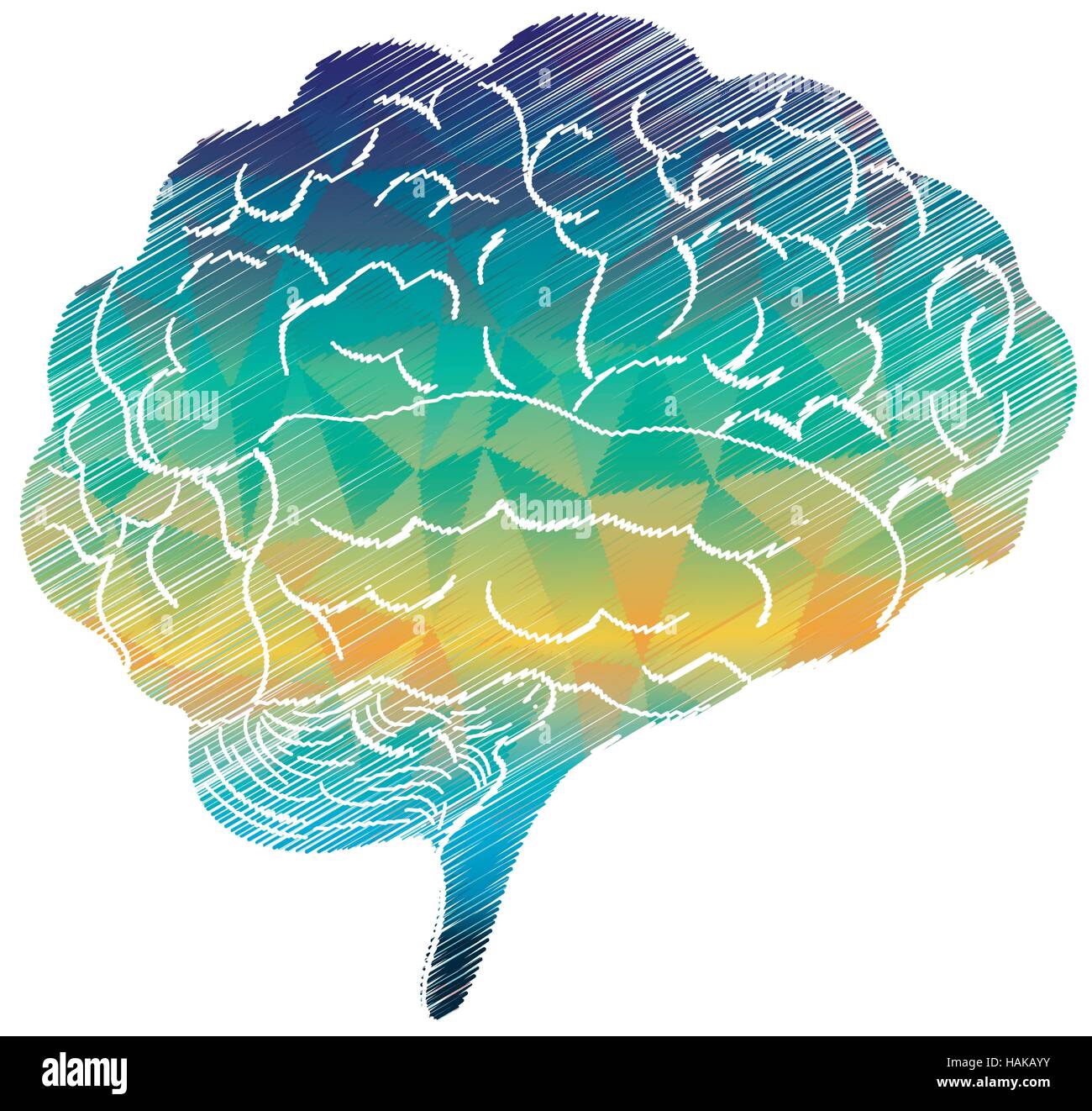 Human brain mind icon vector illustration graphic design Stock Vector ...