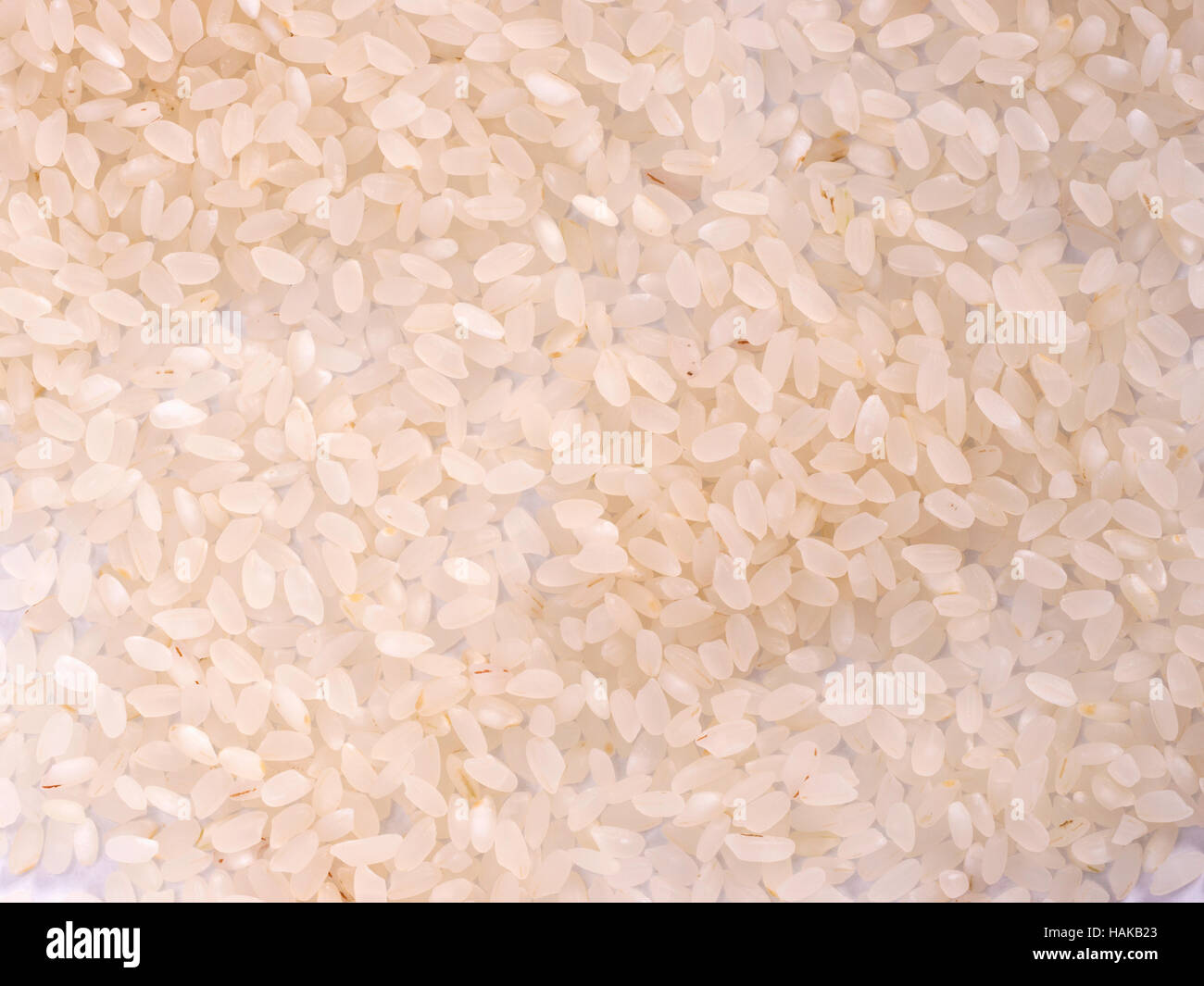 Rice background hi-res stock photography and images - Alamy